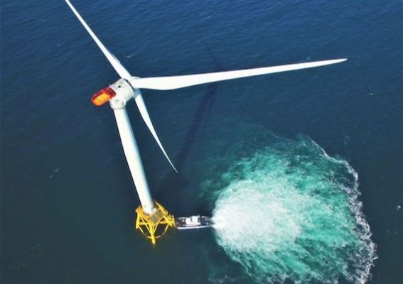 The Offshore Wind Industry Is Committed To Safeguarding The Marine ...